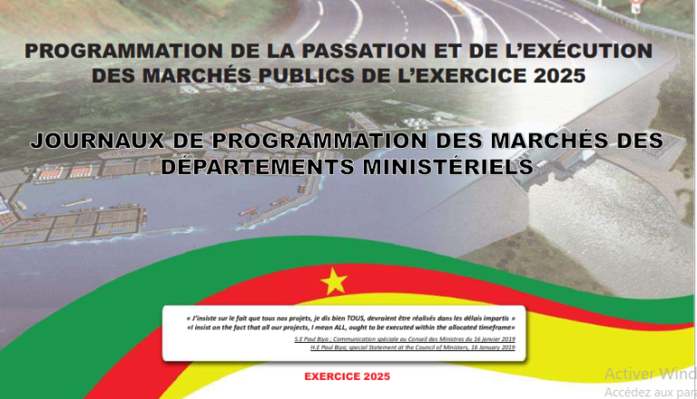 Programmation des marchés publics 2025 – MINMAP